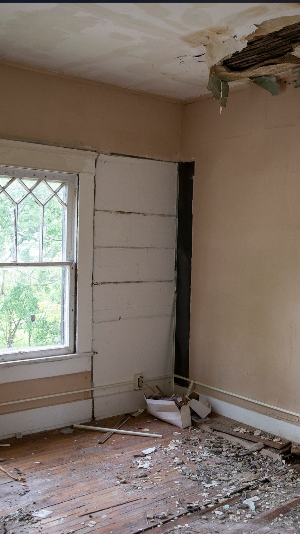 Our case for support