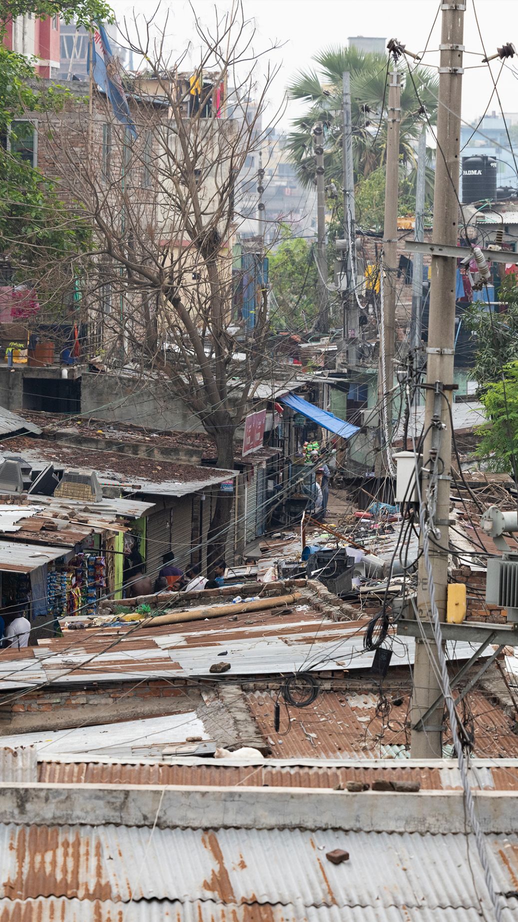 Residents of informal settlements confront challenges head-on