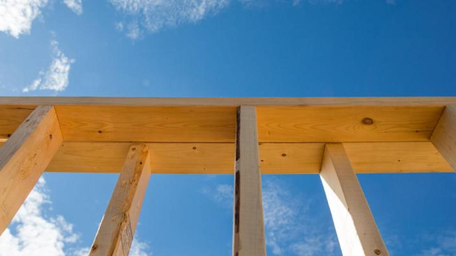 Carter Work Project 2017 | Carter Work Project