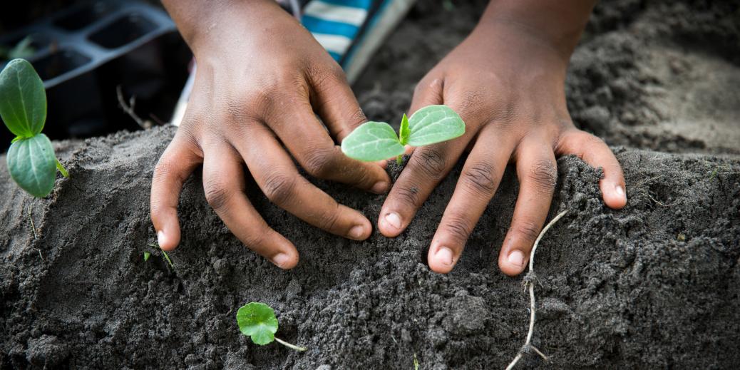 6 facts about Habitat’s sustainability efforts | Habitat for Humanity